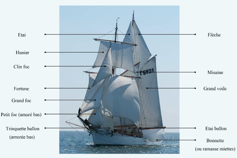 Navigation – Association Fécampoise des Amis des Goélettes École (AFAGE)